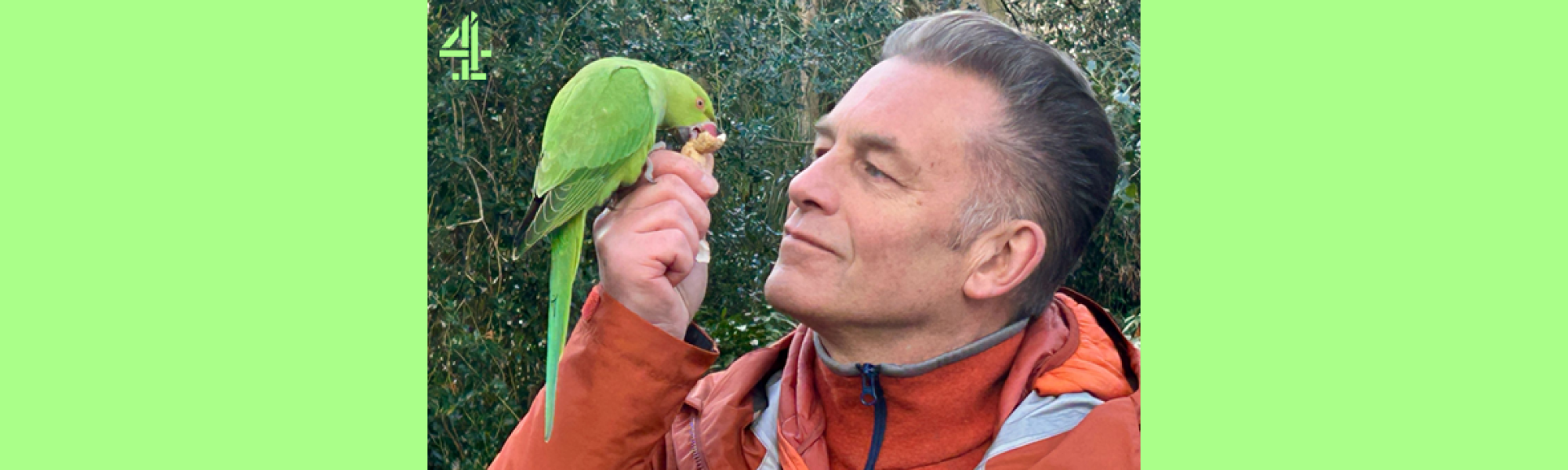 Press Pack Interview with Chris Packham- Invasion of the Parakeets ...
