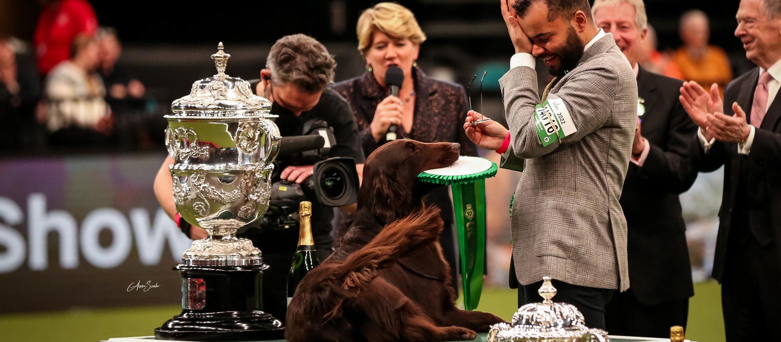 Crufts returns to Channel 4, More4 and All 4 with wall-to-wall coverage ...