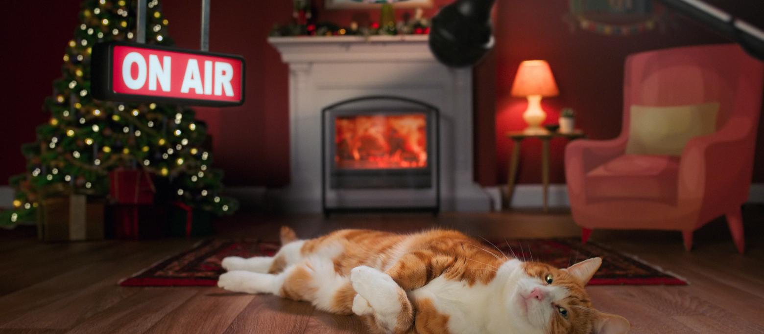 Channel 4 brings brands into the countdown to Mog’s Christmas | Channel 4