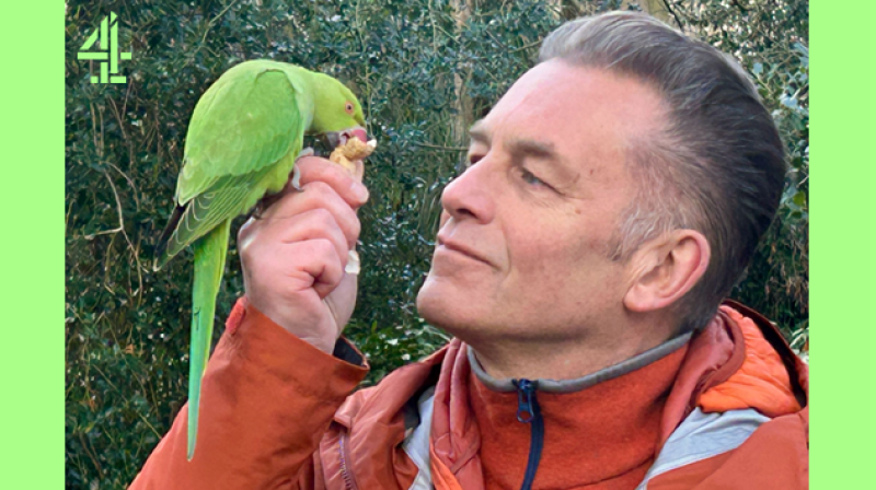 Press Pack Interview with Chris Packham- Invasion of the Parakeets ...