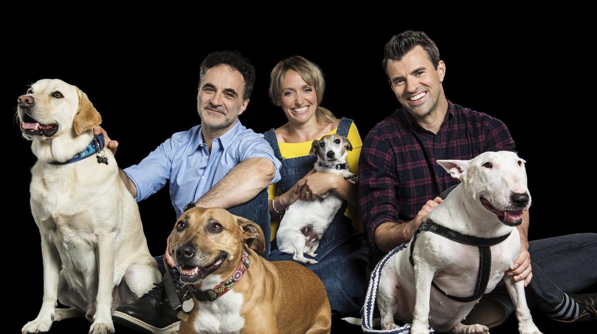 Animal Rescue Live: Supervet Special | Channel 4