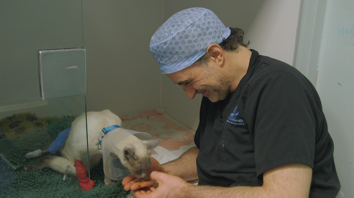 The Supervet: Noel Fitzpatrick - Thursday at 8 pm | Channel 4