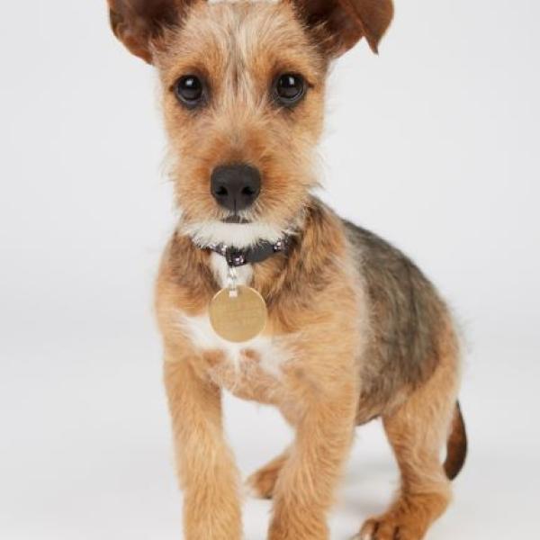 Welcome To 4Viewers | Channel 4