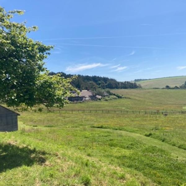 Welcome to 4Viewers | Channel 4